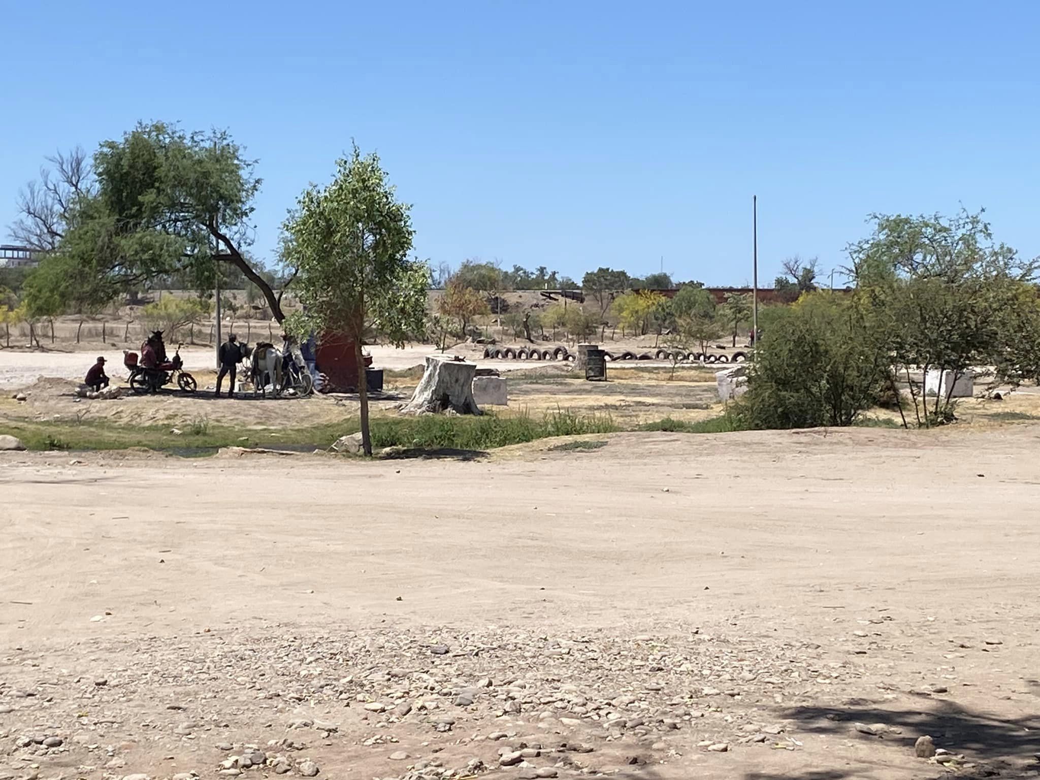 Beneficios colaterales que se tendrían al reforestar el cauce del Río ...